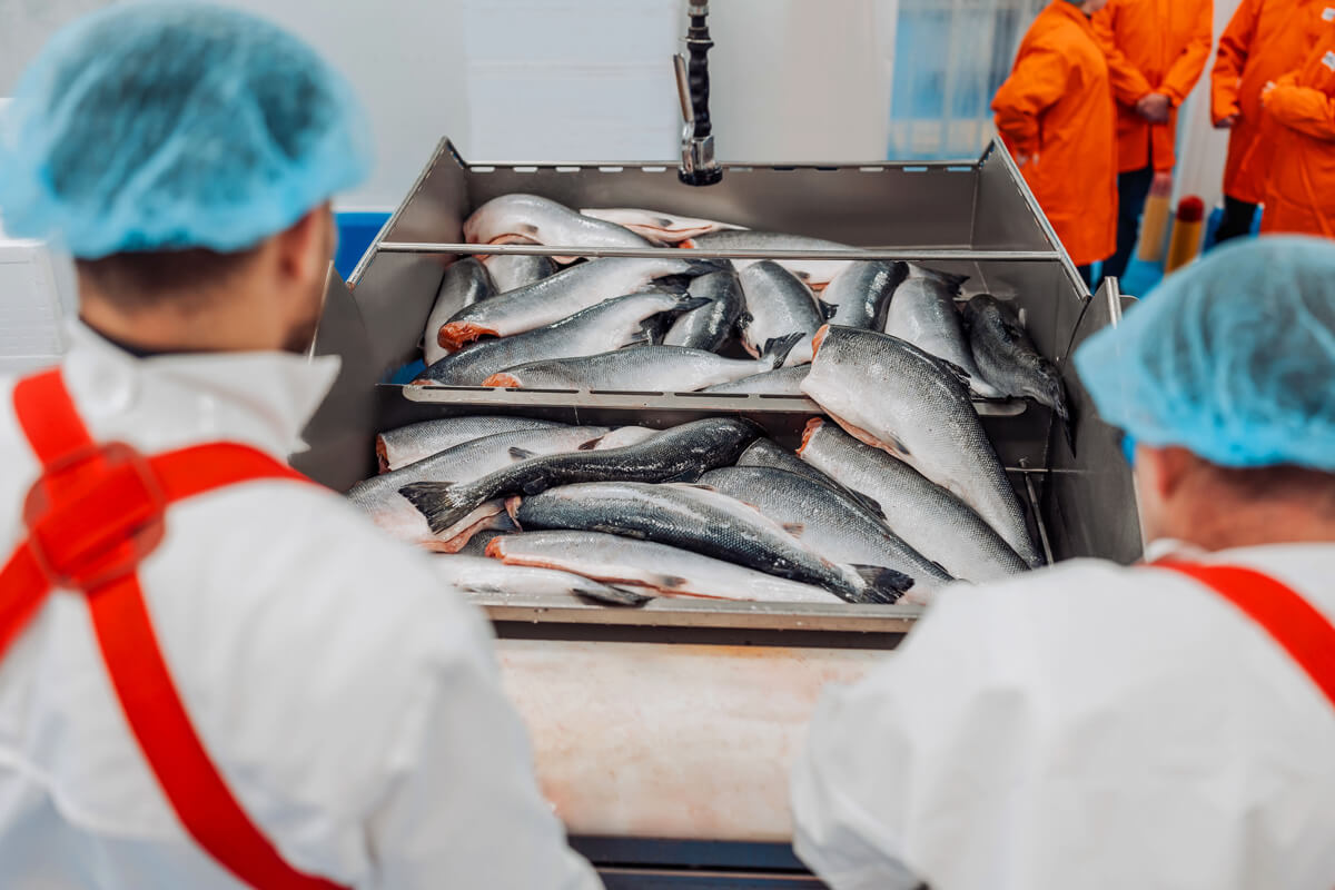 Seafood Expo Global 2025, Barcellona